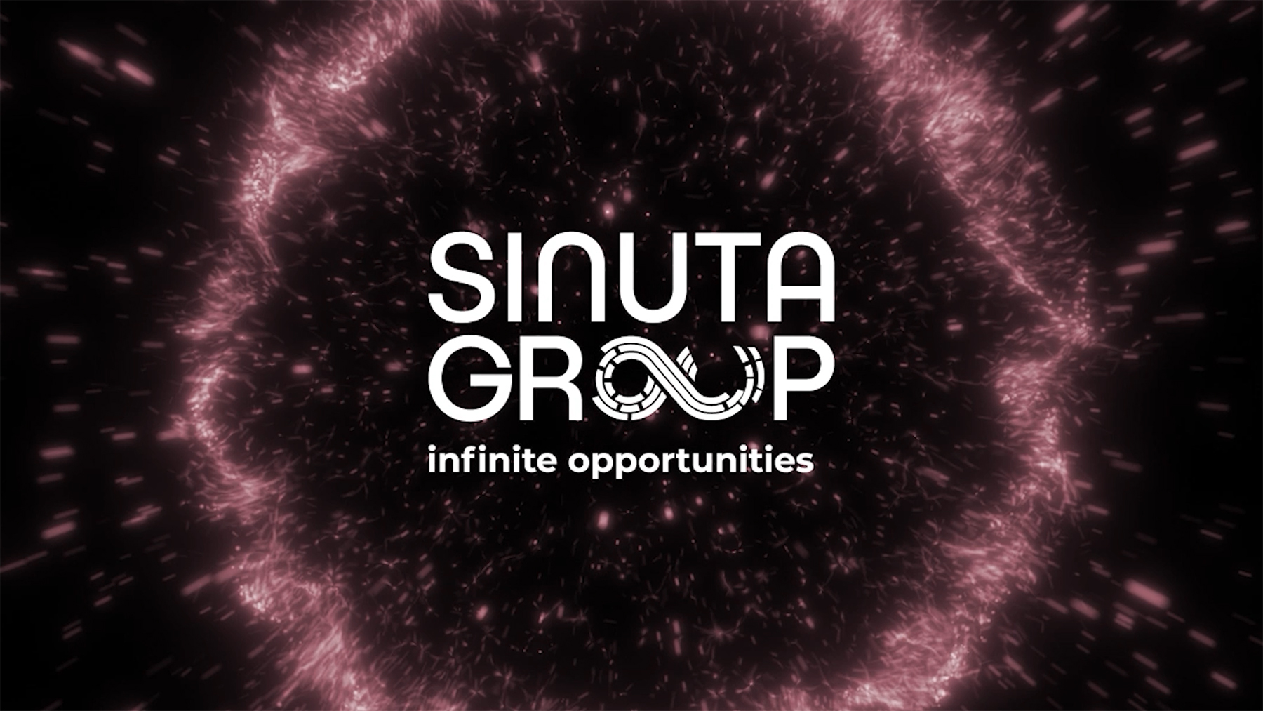 Homepage Sinuta Group Infinite Opportunities 2026